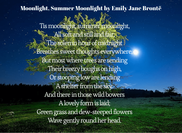 Shiny Tin Foil » Blog Archive » Summer Bucket List – Summer Poem